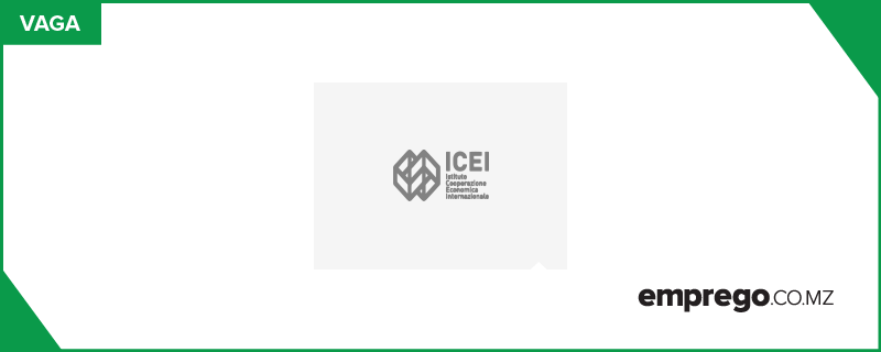 ICEI – Instituto de Cooperação Económica Internacional: Oficial de ...