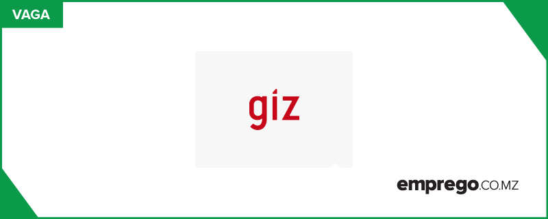 GIZ – Cooperação Alemã para o Desenvolvimento: Advisor in Professional ...