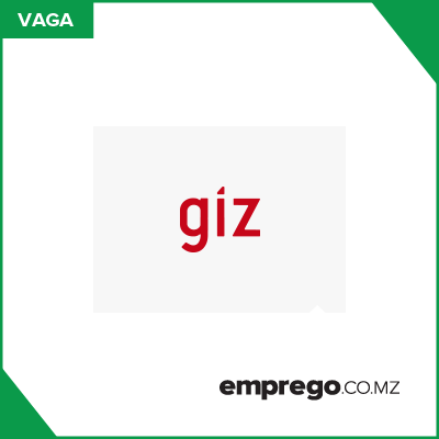 GIZ – Cooperação Alemã para o Desenvolvimento: Advisor in Professional ...