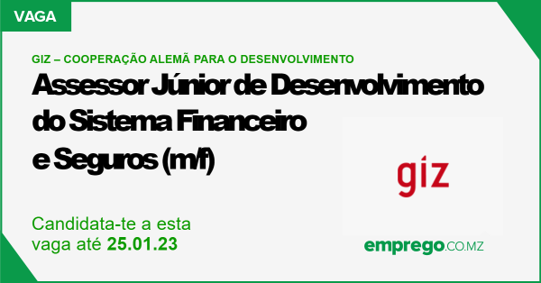 GIZ – Cooperação Alemã para o Desenvolvimento: Assessor Júnior de ...